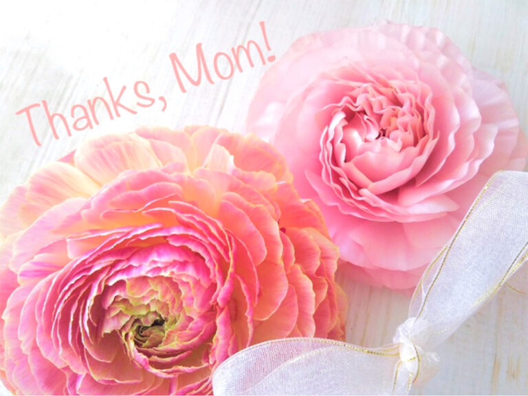 物欲のない母にも喜ばれる！プレゼントの選び方やアイディアを紹介！ | おしゃれな木の北欧風雑貨ブランド Hacoa（ハコア）